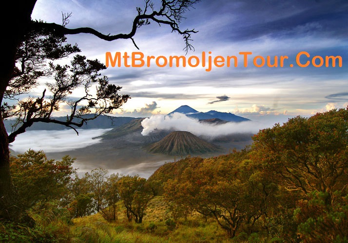 Mount Bromo Tour Package Cheap Price From Surabaya Malang 2023 Sunrise ...
